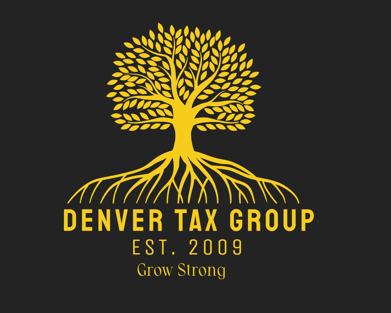 Contact Us - The Denver Tax Group